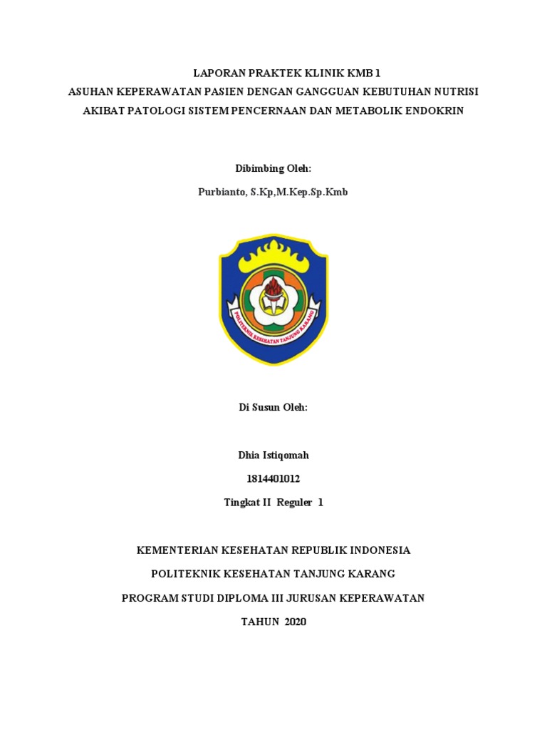 LP Resiko Defisit Nutrisi Dhia | PDF