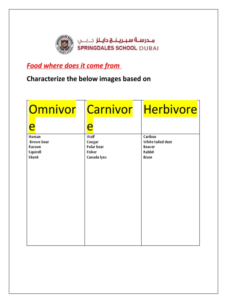 Food Where Does It Come From - Docx Worksheet 1 | PDF
