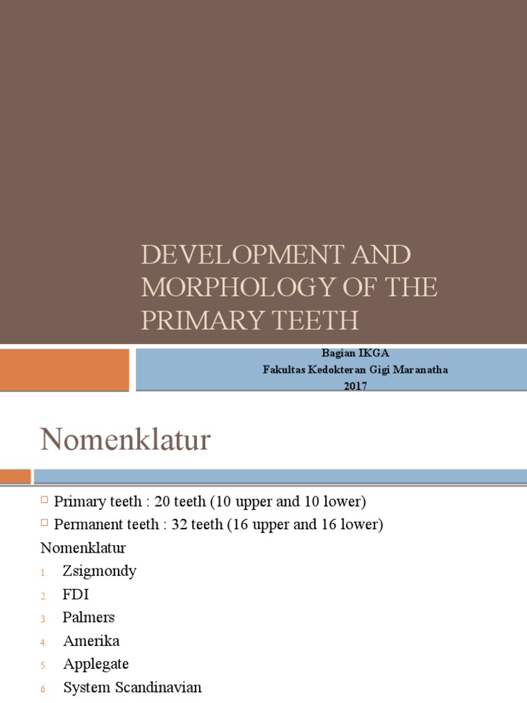 Development and Morphology of The Primary Teeth: Bagian IKGA Fakultas ...