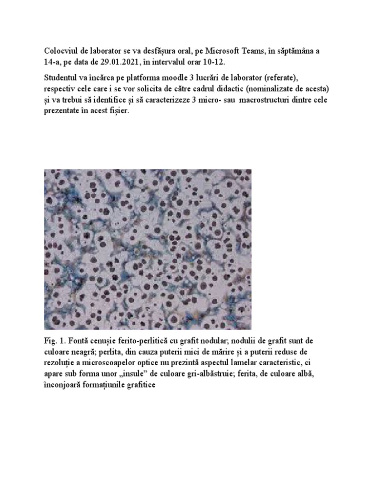 Colocviu Laborator | PDF