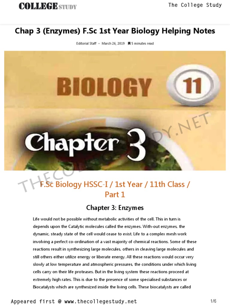 Enzymes: F.Sc 1st Year Bio Notes | PDF | Cofactor (Biochemistry) | Enzyme