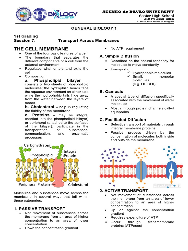 The Cell Membrane: General Biology 1 1st Grading Session 7: Transport ...