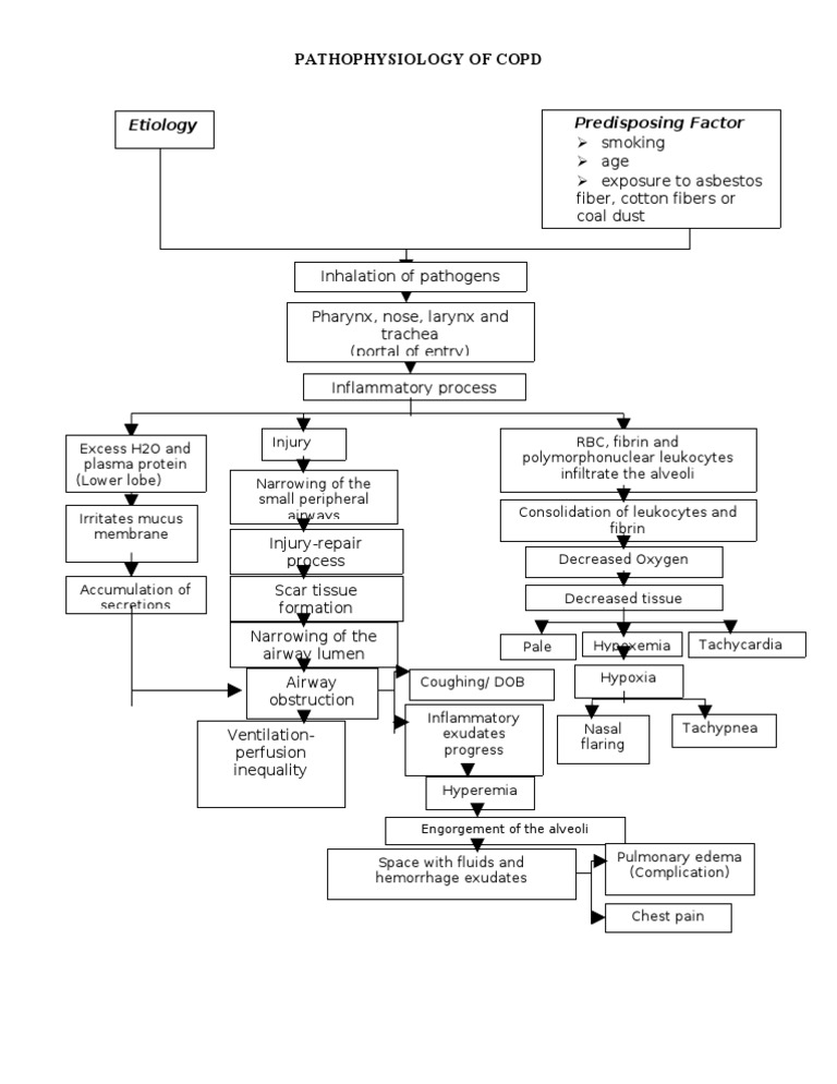 COPD Patho | PDF | Respiratory Tract | Respiratory System