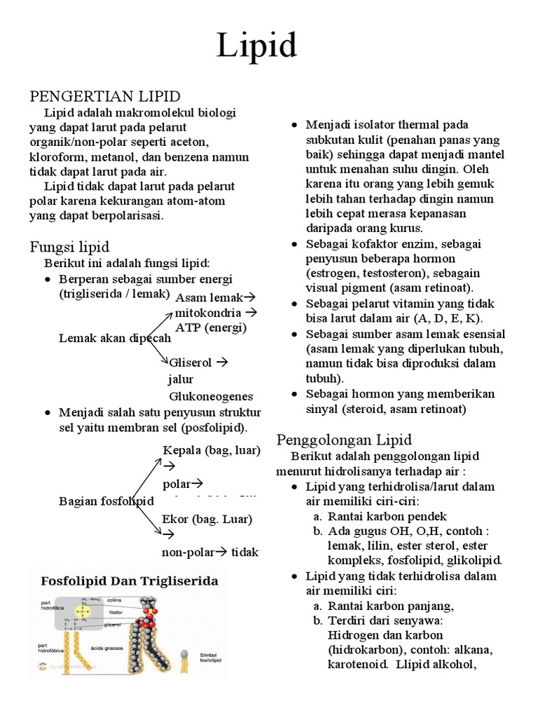 Fungsi dan Struktur Lipid dalam Biologi | PDF
