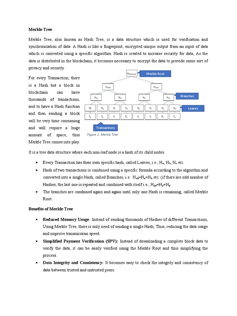 Merkle Tree | PDF | Espionage Techniques | Algorithms And Data Structures