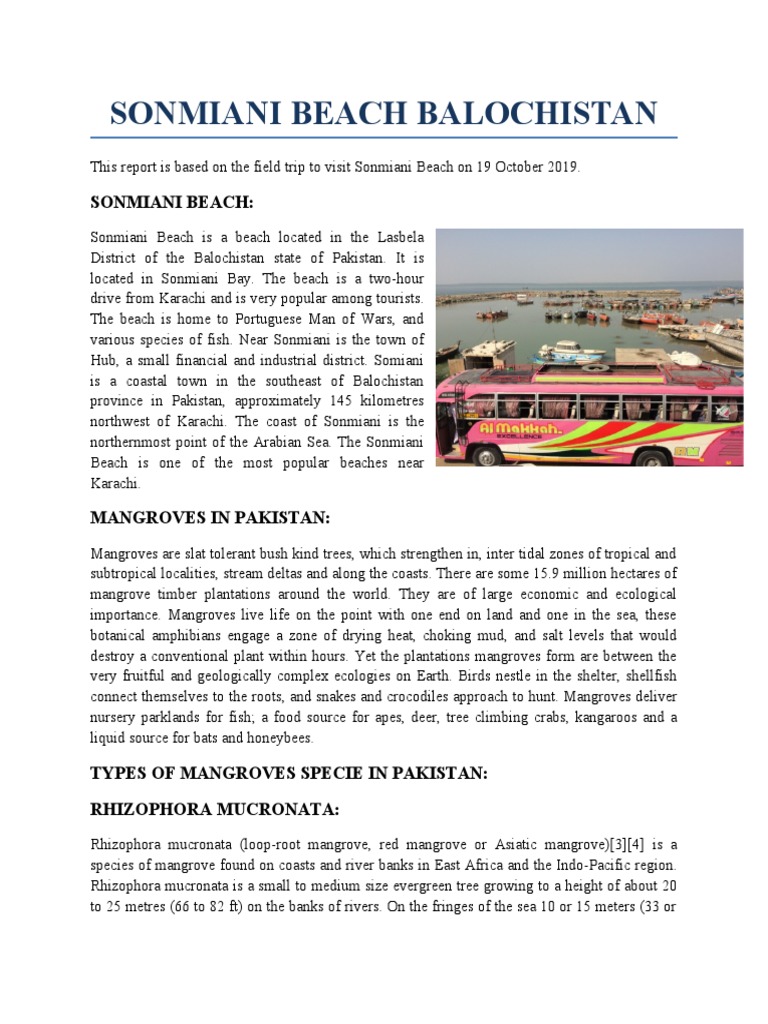Sonmiani Beach Balochistan | PDF | Physical Geography | Nature
