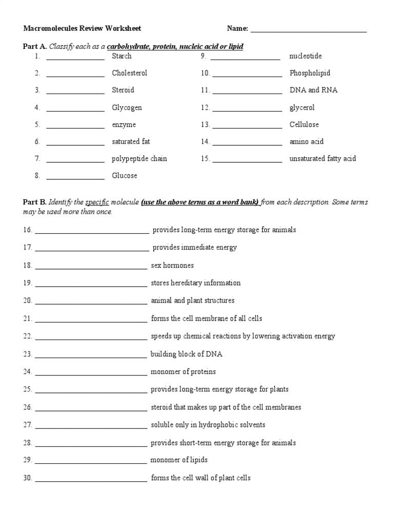 Marocmolecule Review Worksheet | PDF | Macromolecules | Structural Biology