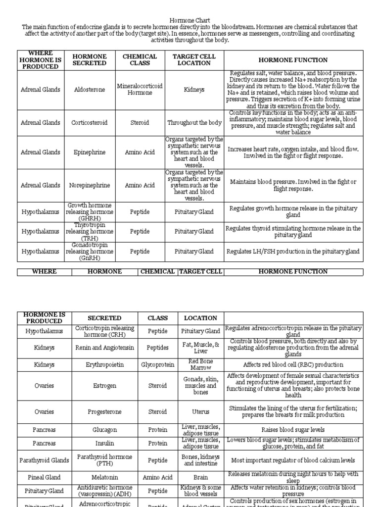 The Endocrine System: A Comprehensive Guide to Hormones, Their ...