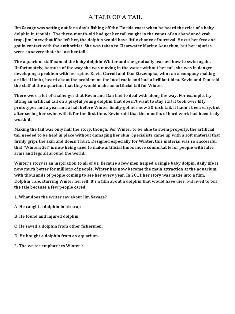 A Tale of A Tail | PDF | Dolphin