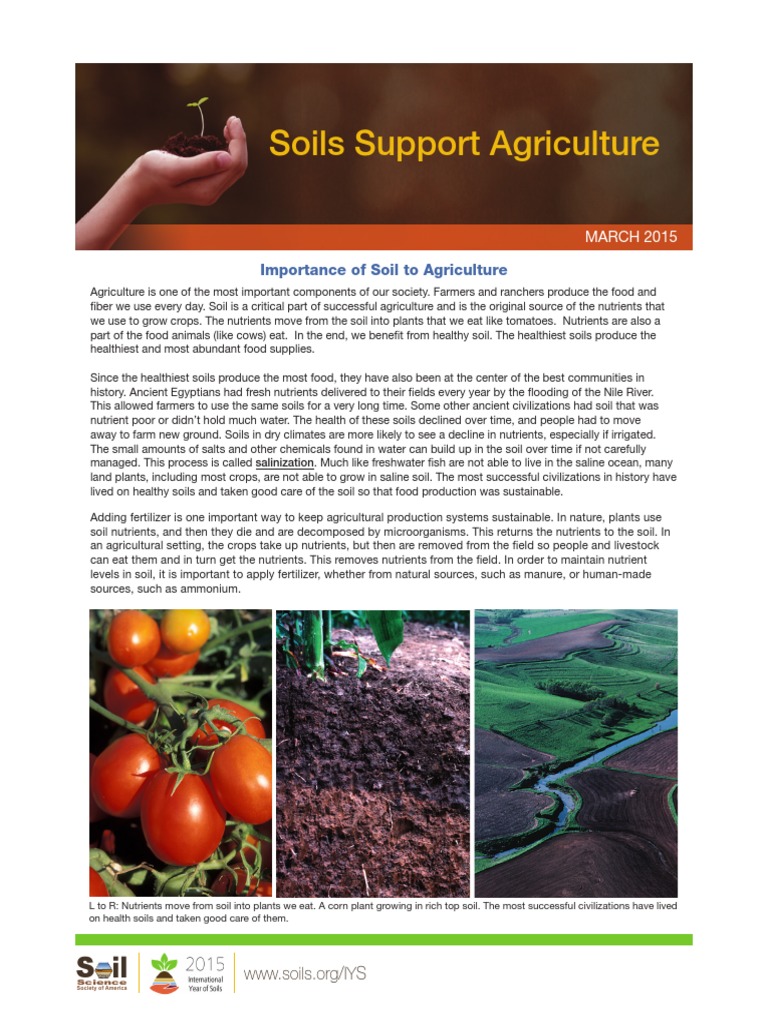 Importance of Soil To Agriculture | PDF | Agriculture | Soil