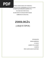 Animales y su Simetría Corporal | PDF | Simetría | Zoología