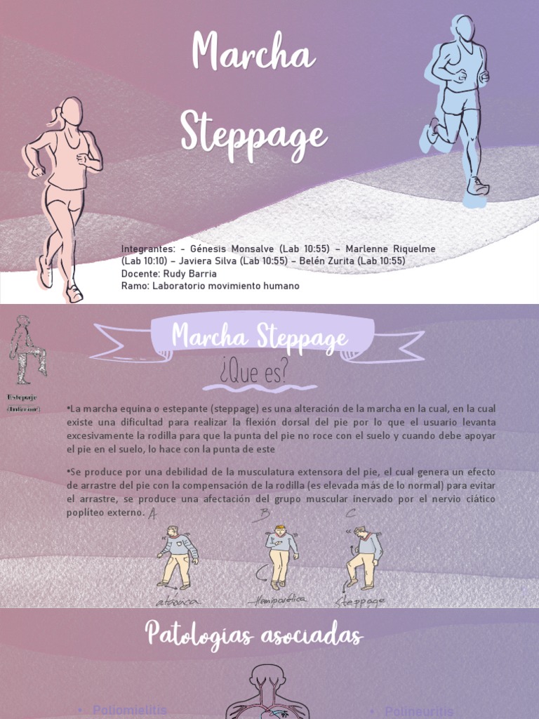 Trabajo Lab Marcha Steppage - Monsalve, G - Riquelme, M - Silva, J ...