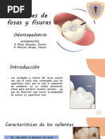 Propiedades Físicas de La Resina | PDF | Compuesto Dental | Absorción ...