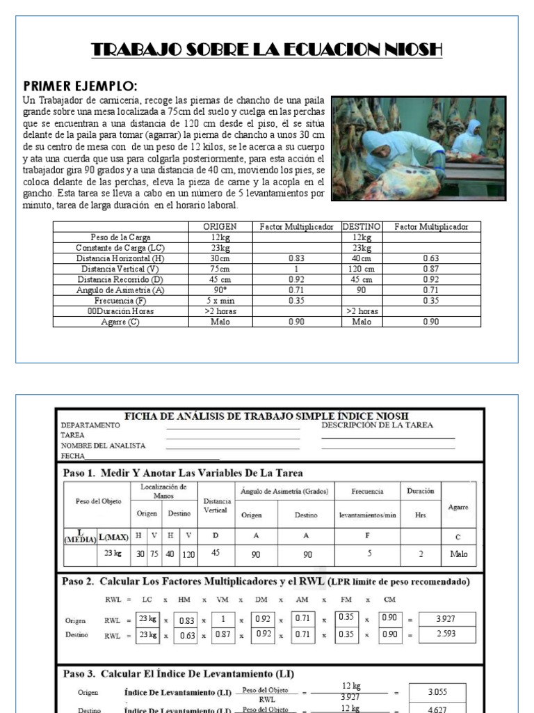 Tarea NIOSH | PDF | Factores humanos y ergonomía | Naturaleza