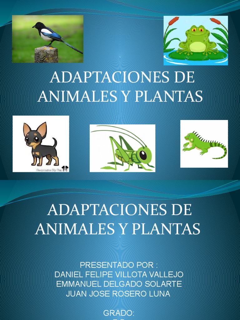 Adaptaciones de animales y plantas a su hábitat | PDF | Puma | Hoja