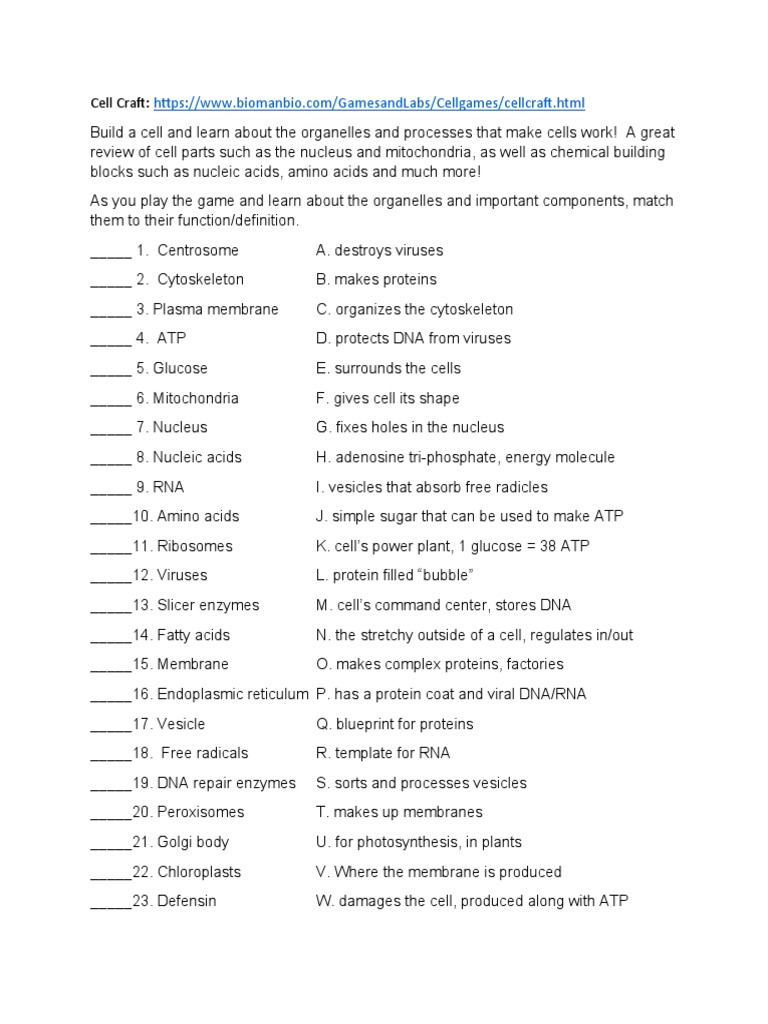 Cell Craft Worksheet | PDF