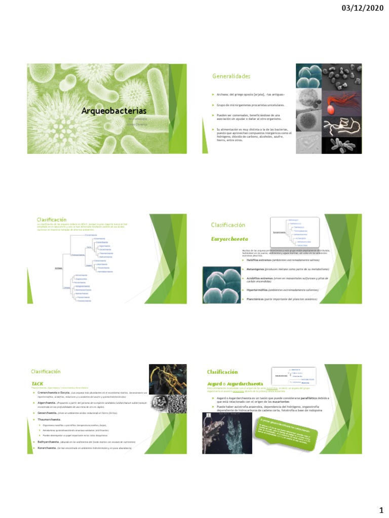 Arqueobacterias | PDF | Archaea | Las bacterias
