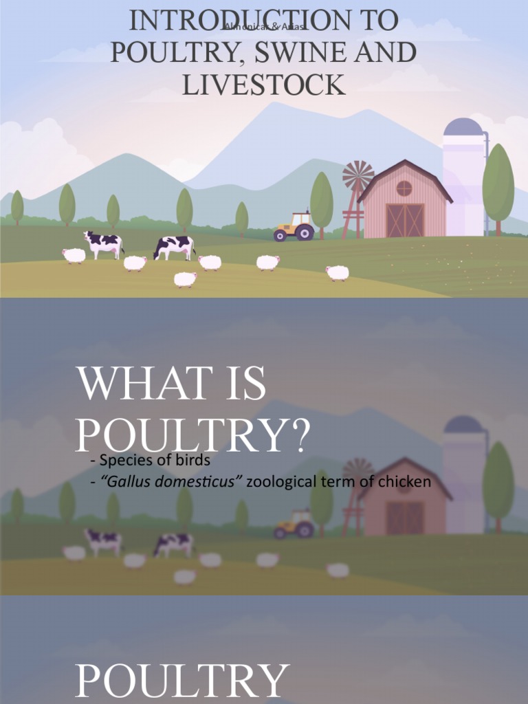 Introduction To Poultry, Swine and Livestock | PDF