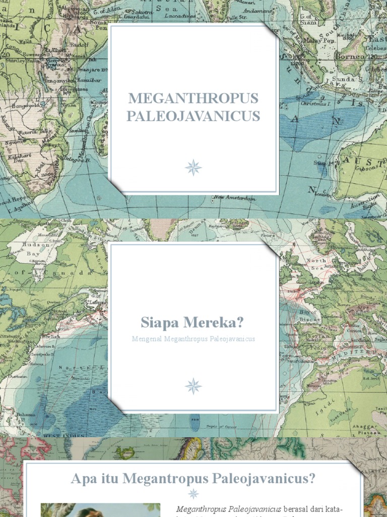Meganthropus Paleojavanicus | PDF