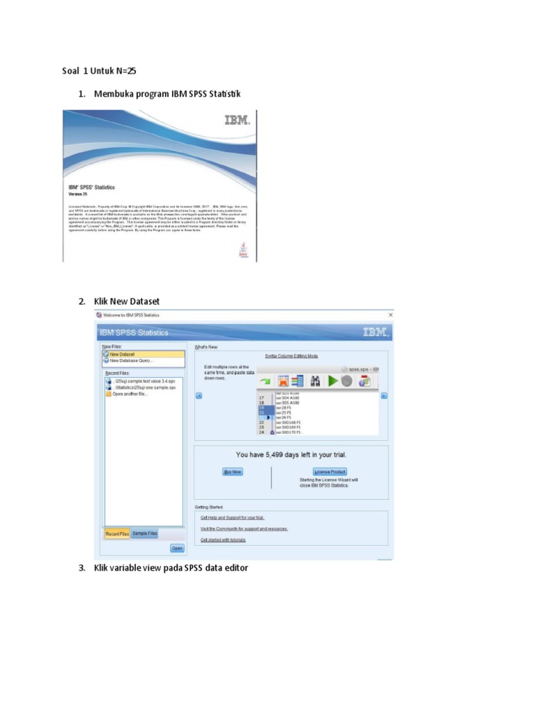 Langkah Kerja Test Binomial Spss Pdf 9987