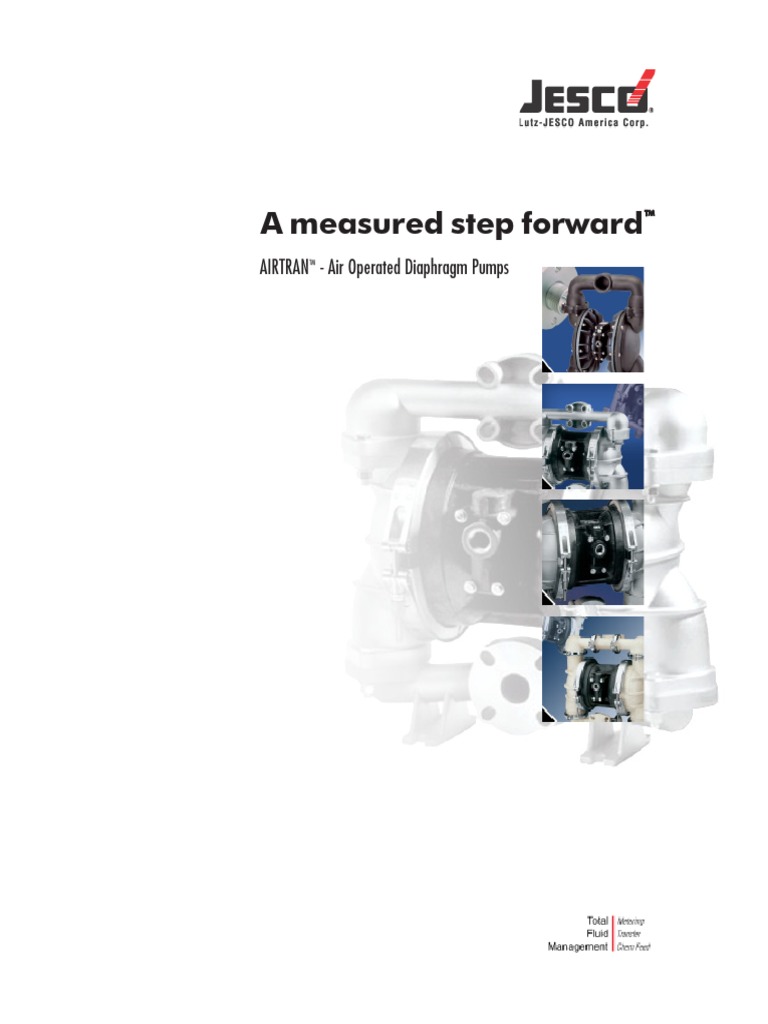 Lutz-JESCO AOD Pumps Overview | PDF | Pump | Valve