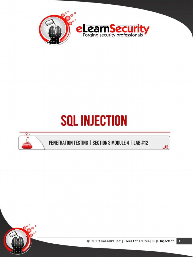 Lab12 - SQL - Injection | PDF | Web Application | World Wide Web