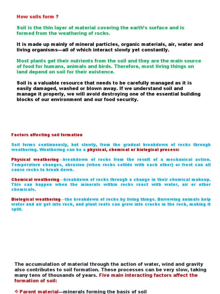 Soil Forming Processes | PDF | Weathering | Soil