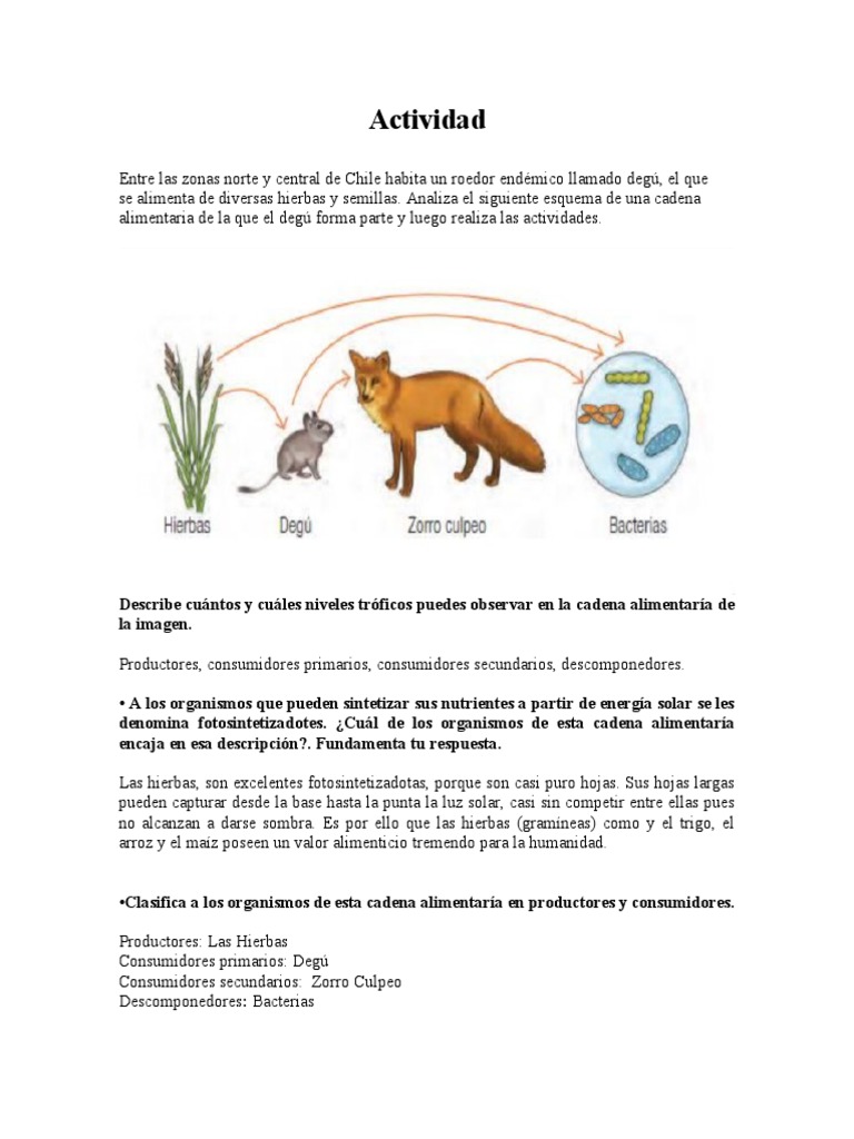 Clase N9 | PDF | Biología | Organismos