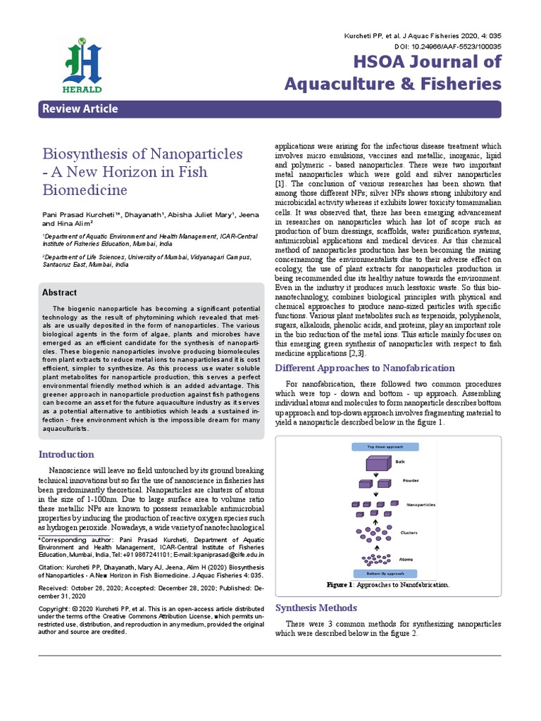 Biosynthesis of Nanoparticles A New Horizon in Fish Biomedicine | PDF ...