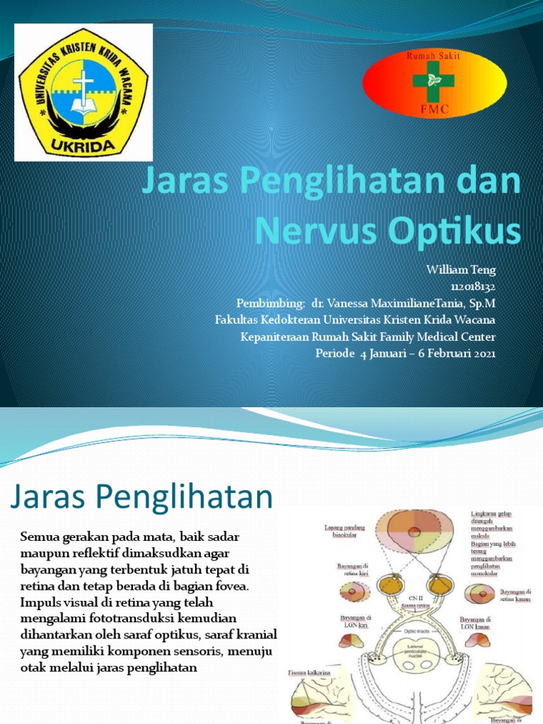 Proses Jaras Penglihatan dan Nervus Optikus | PDF