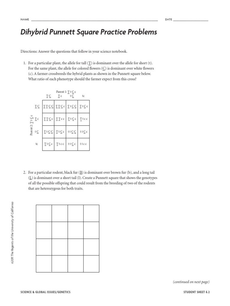 6 - Breeding Corn For Two Traits - SS 6 - 2 | PDF | Biological ...