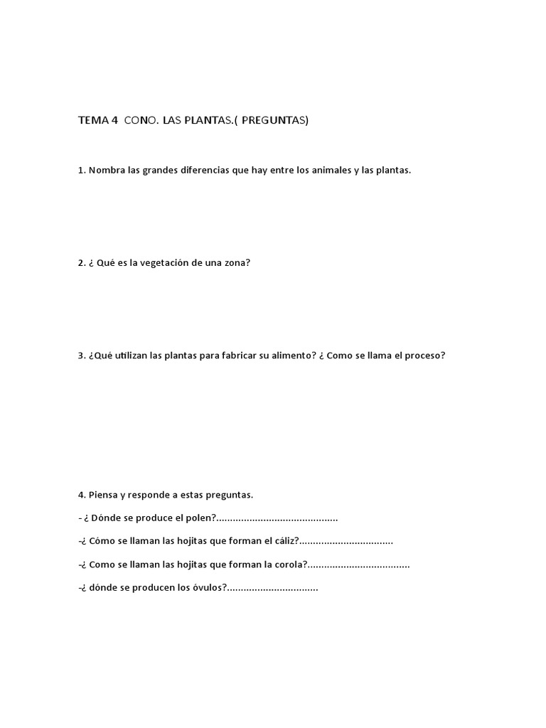 TEMA 4 CONO Preguntas | PDF