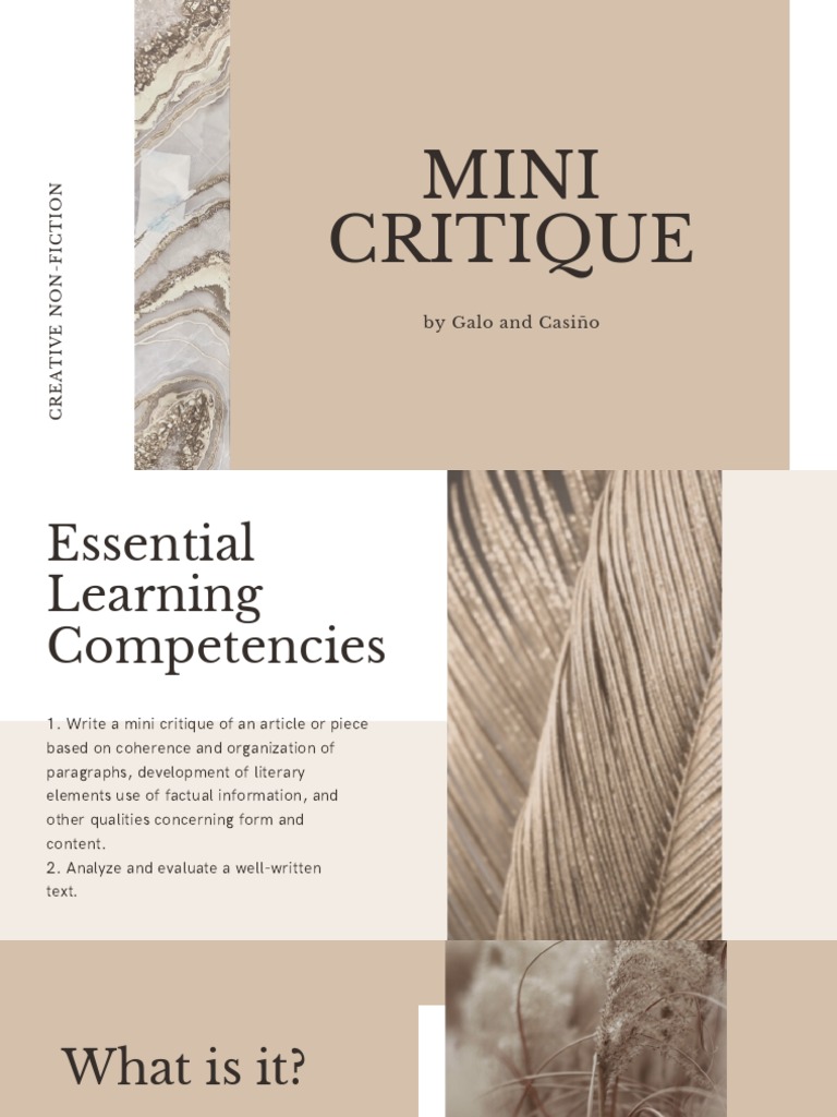 Mini Critique Guidelines for Students | PDF