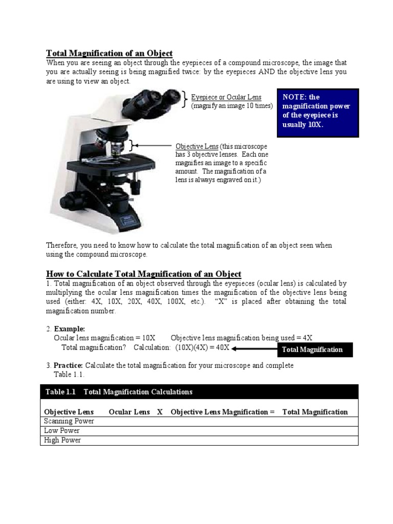 Total Magnification of An Object | PDF