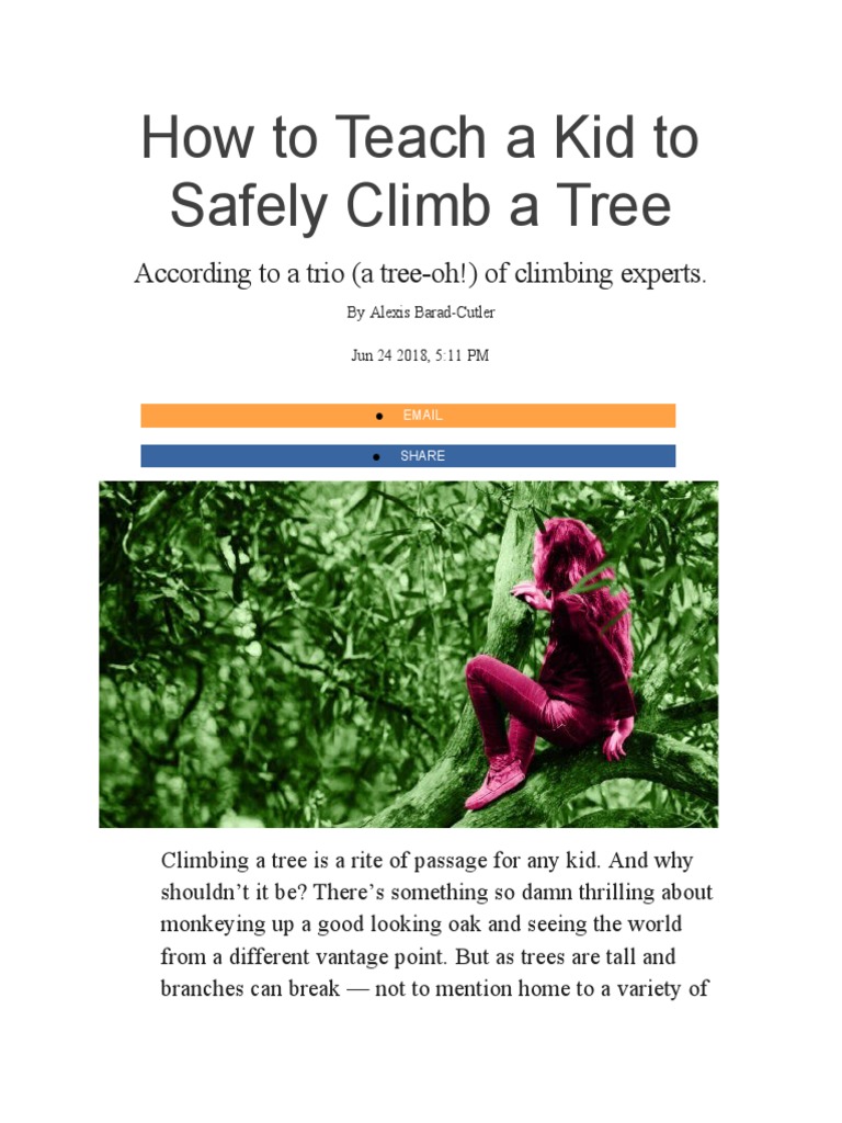 How To Teach A Kid To Safely Climb A Tree | PDF | Trees | Nature