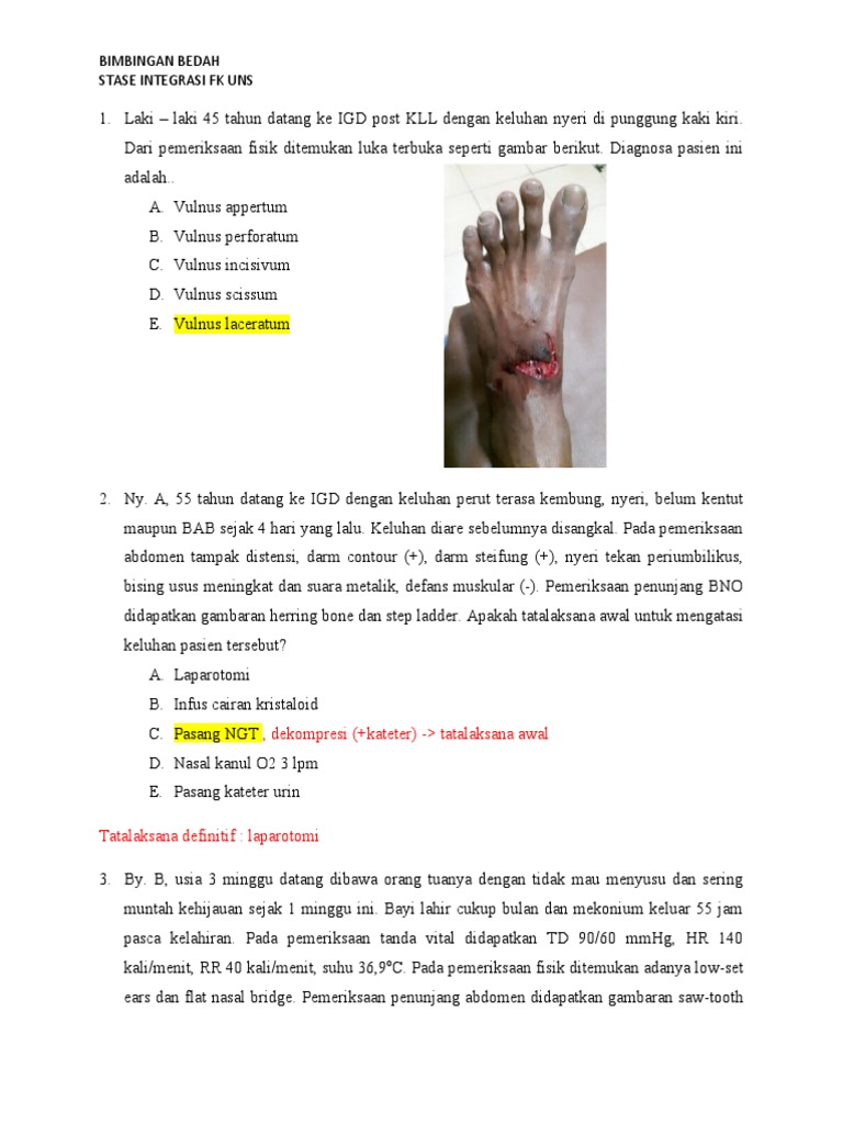 BIMBINGAN BEDAH STASE | PDF