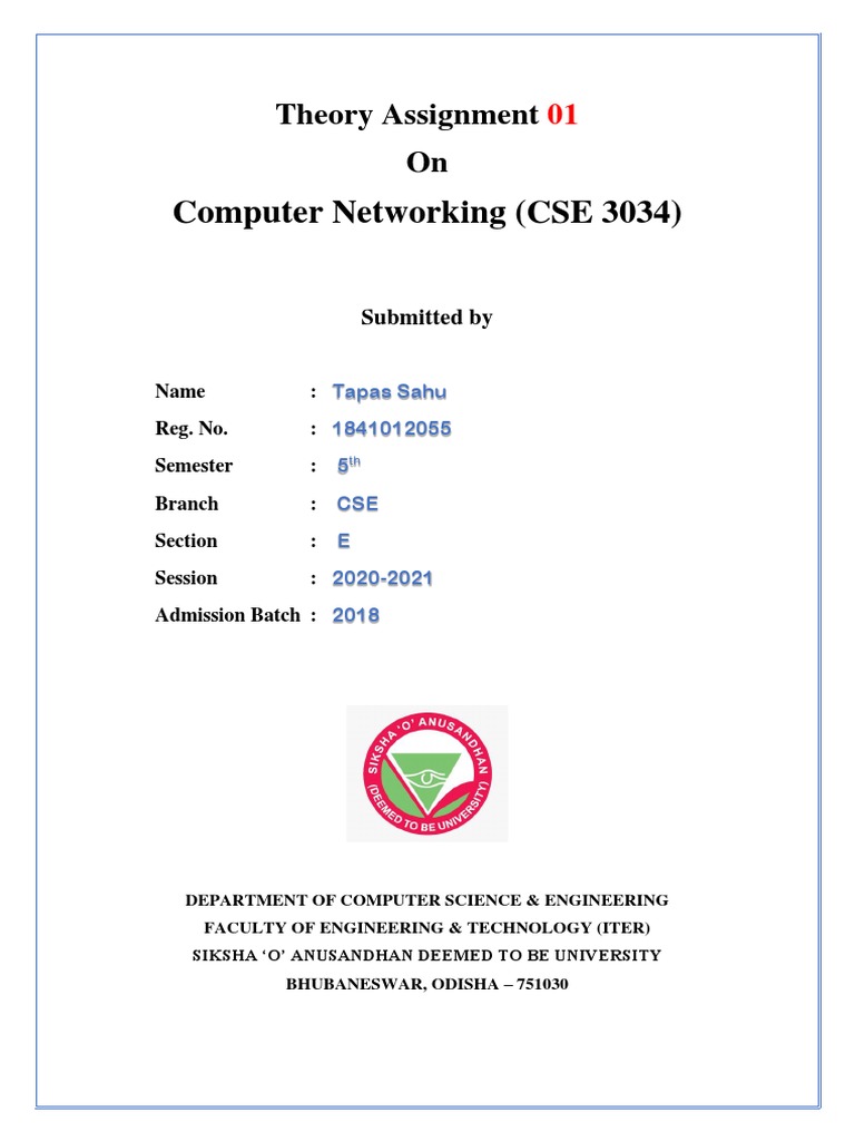 Computer Networking (CSE 3034) : Theory Assignment On | PDF | Internet ...