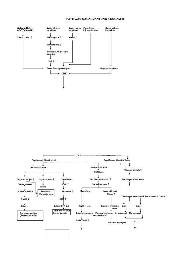 Pathway Gagal Jantung Kongestif | PDF | Cardiology | Circulatory System