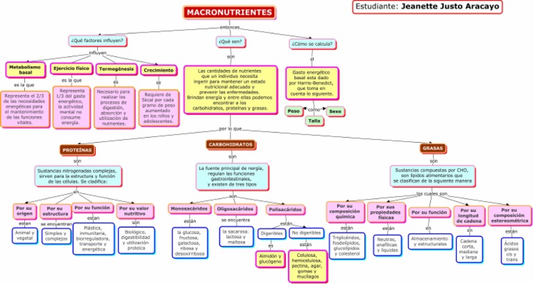Mapa Conceptual Macronutrientes | PDF Mapa Conceptual Macronutrientes | PDF