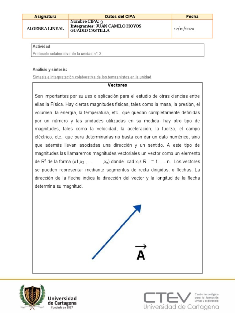 Introducción a Vectores en Álgebra Lineal | PDF | Vector Euclidiano ...