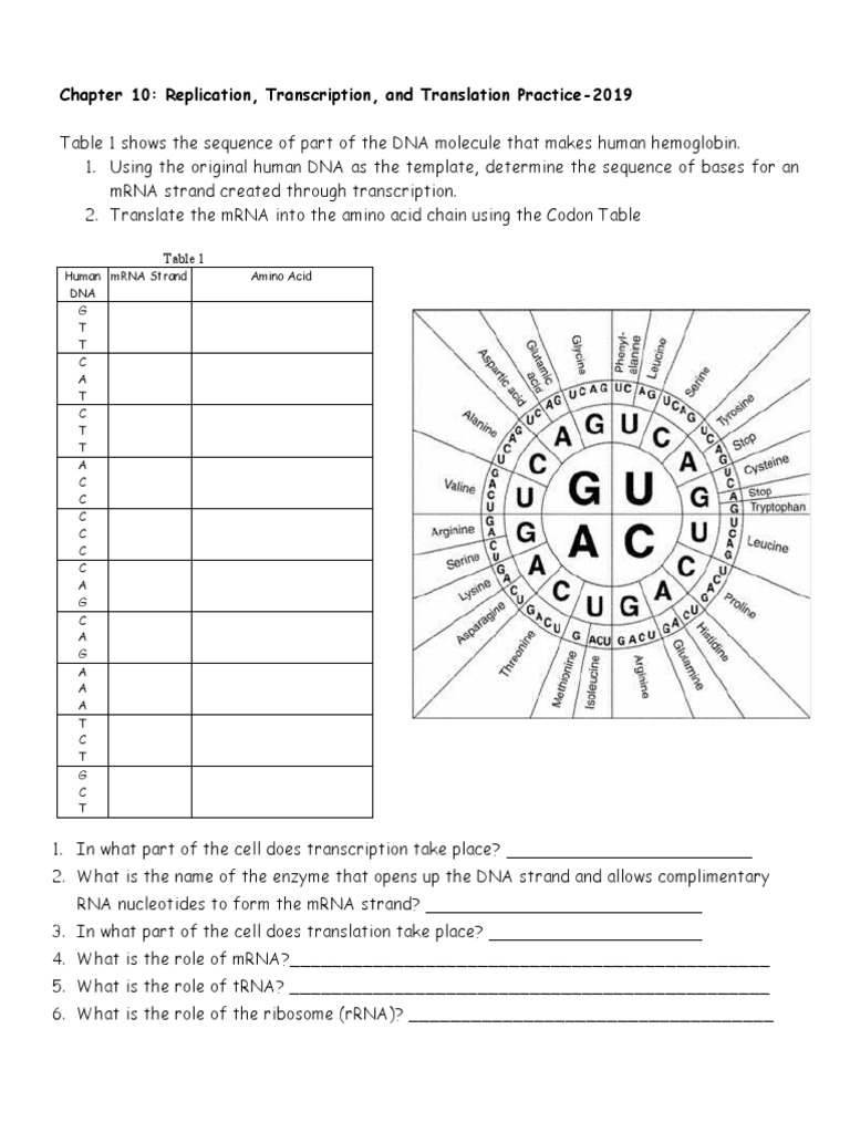 Transcription Translation Practice | PDF