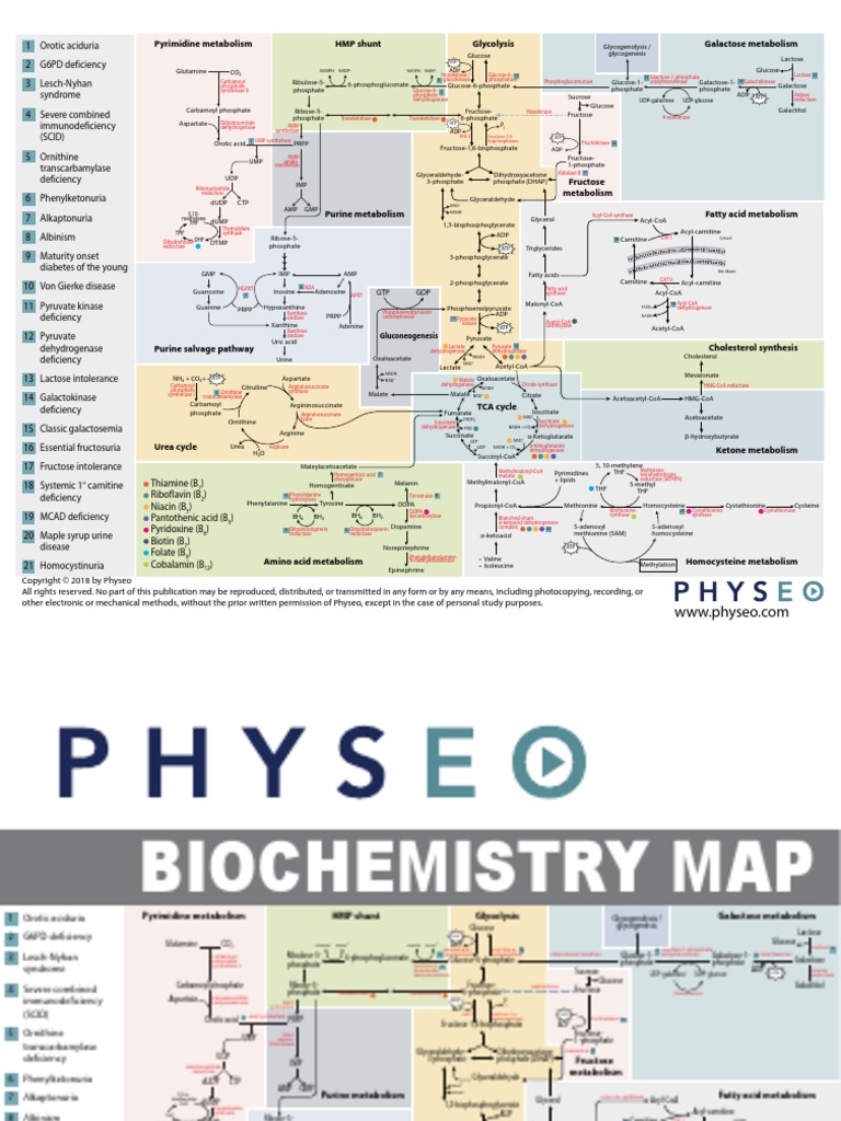 6 Biochemistry Map | PDF | Molecular Biophysics | Molecular Biology