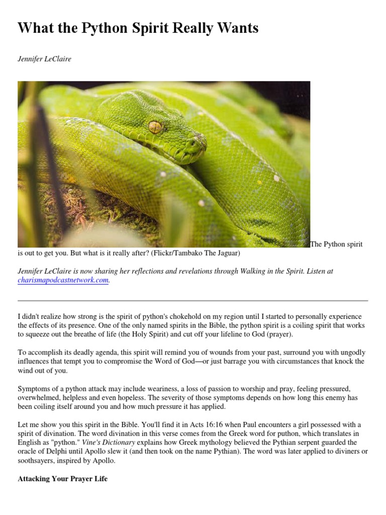 Spiritual Warfare: Defeating Python | PDF | Paul The Apostle | Oracle