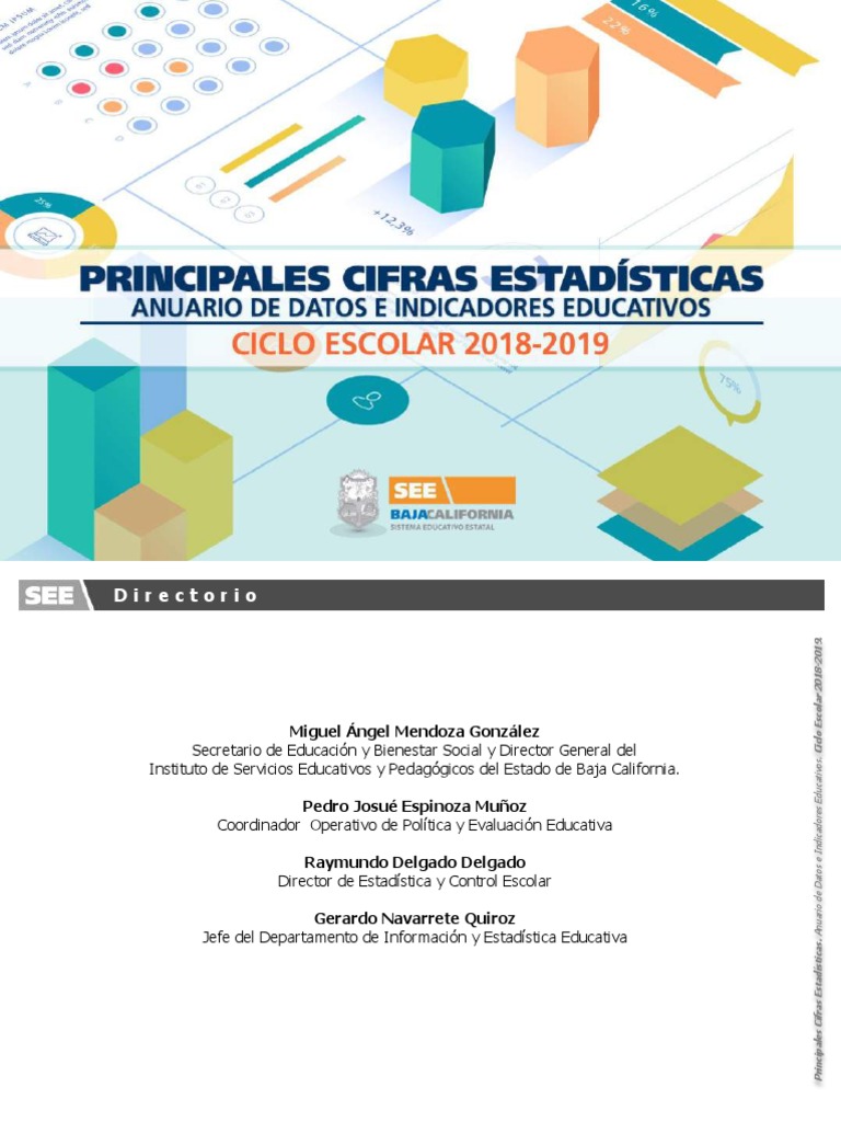 Principales Cifras Estadísticas 2018-2019 | PDF | Titulo academico | Educación de la primera ...