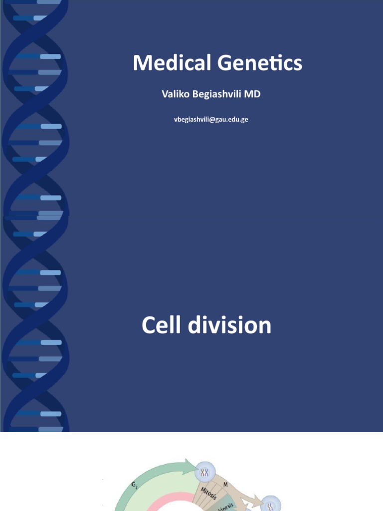 Developmental Genetics. Sexual Differentiation | PDF