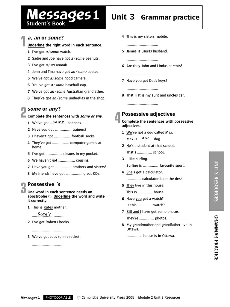 Unit 3: Grammar Practice | PDF | Language Mechanics | Grammar