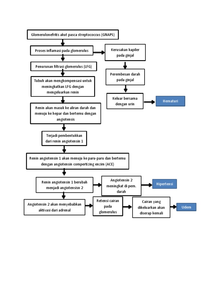 Mekanisme GNAPS | PDF