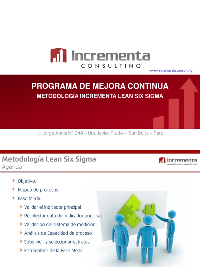 Programa de Mejora Continua: Metodología Incrementa Lean Six Sigma | PDF | Blue | Red