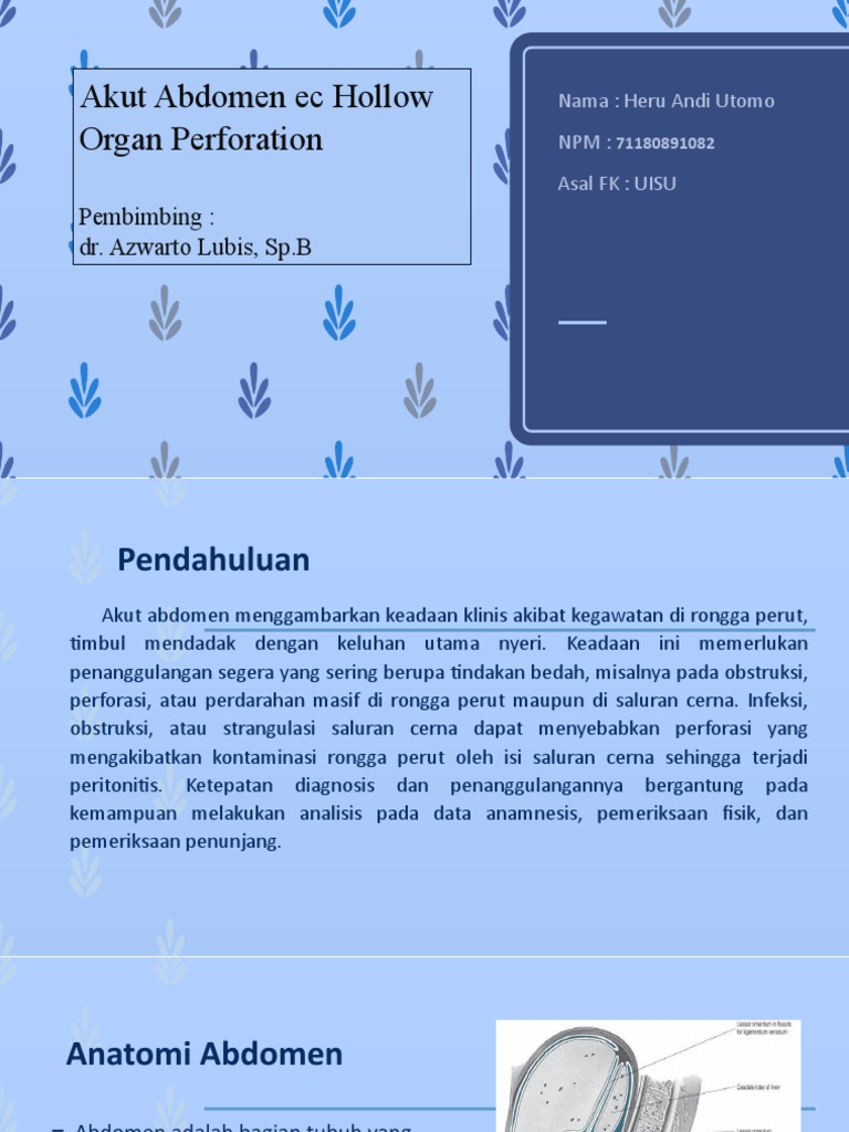 PPT-Akut Abdomen Ec Hollow Organ Perforation | PDF