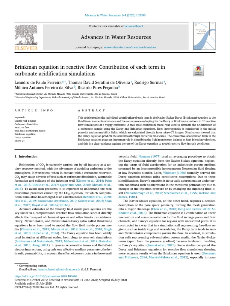 Brinkman Equation in Reactive Flow - Contribution of Each Term in ...